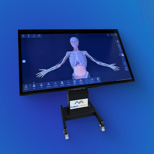 MedVision Patient Simulators | Human Medical Simulators