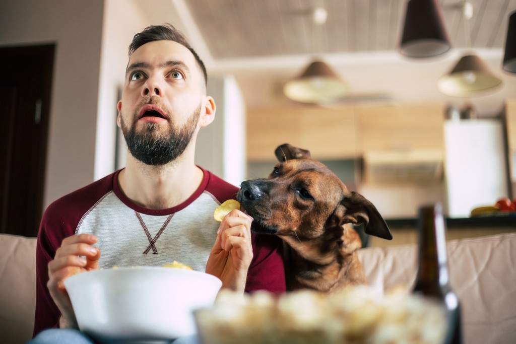 Can Dogs Eat Salt? Understanding the Risks and Safe Practices