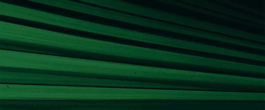 Your Ultimate Guide to Mastering Framer - All About Framer