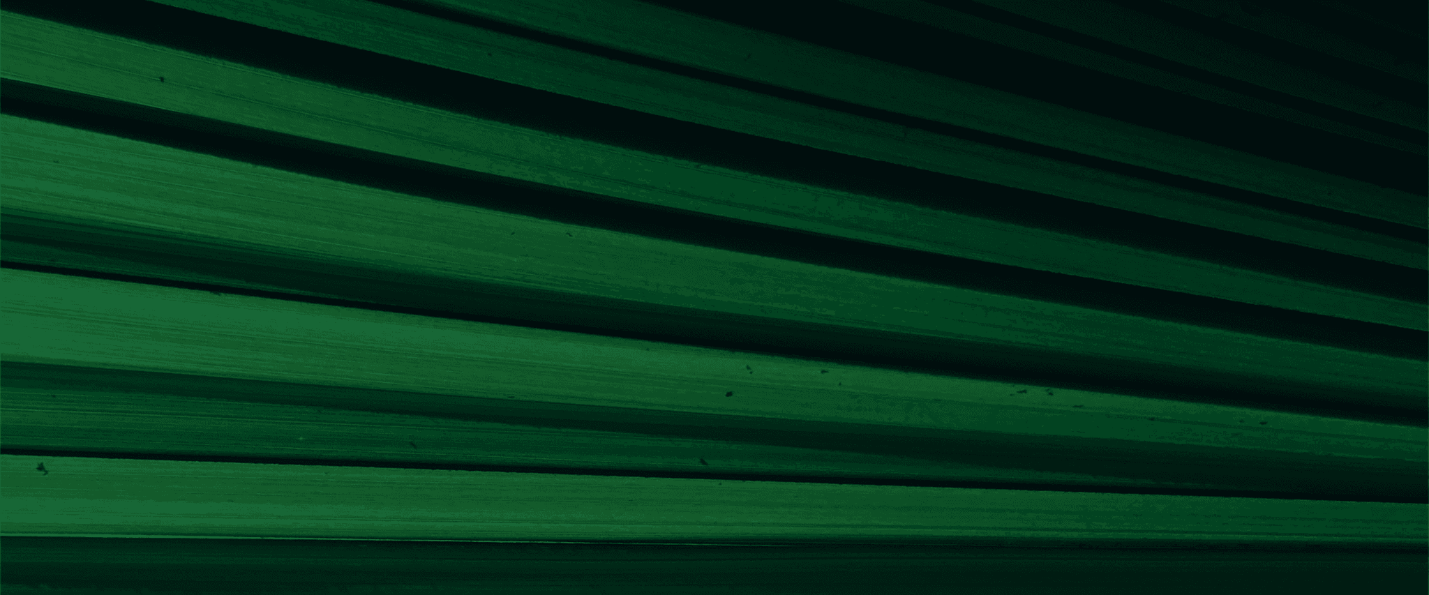 Your Ultimate Guide to Mastering Framer - All About Framer