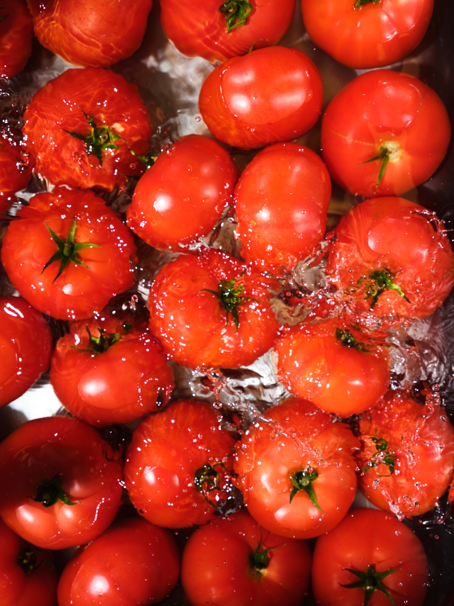 Salsa Shop | Fresh Mexican Kitchen