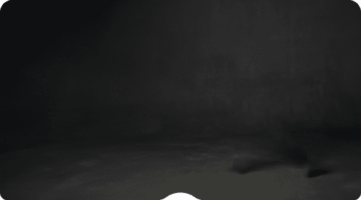 ELVT By Olesia Shevchuk