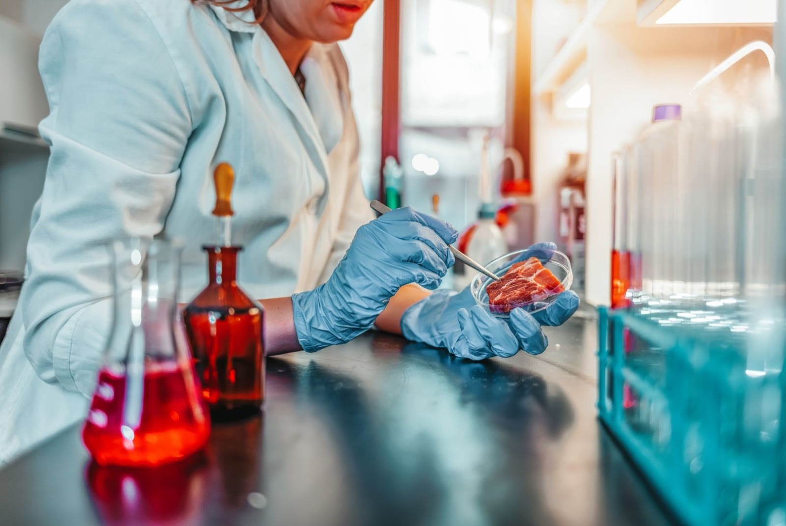 The Weird, Beautiful Origins of Bioart You’ve Probably Never Heard About