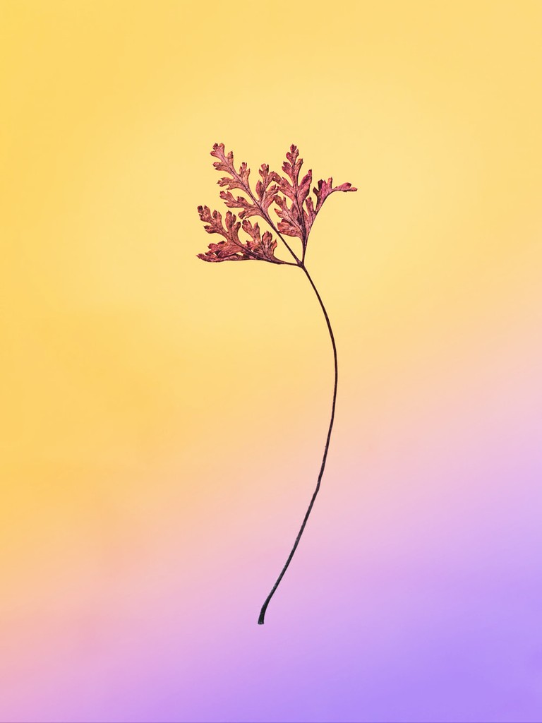 NIST Risk Management Framework