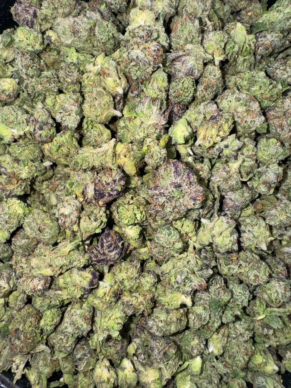 Flower - Cali Exotics