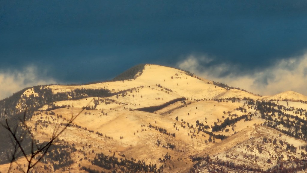 Coping Tools for Delusions and Hallucinations with Schizophrenia - Nami ...