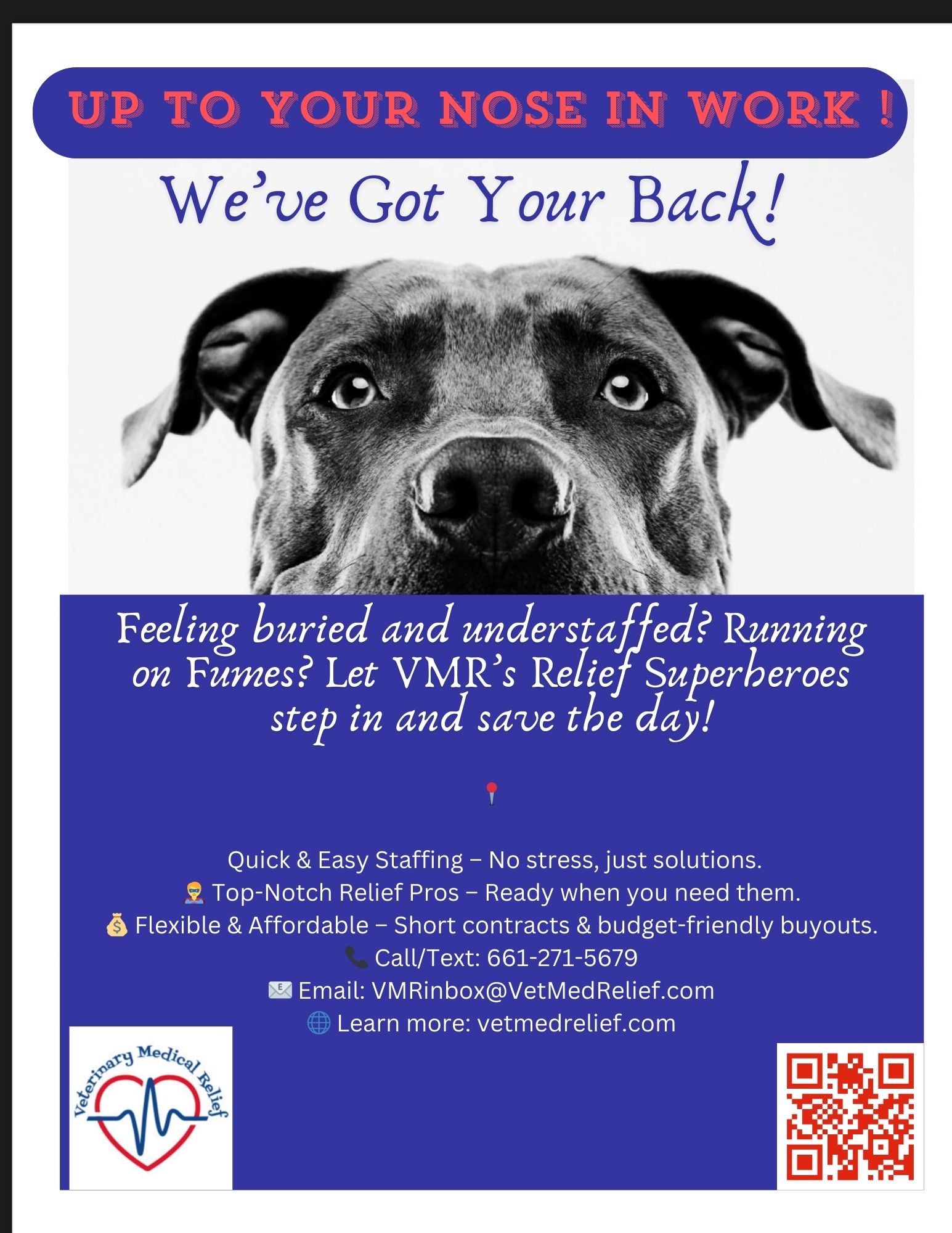 Vet Med Relief - Business Hours