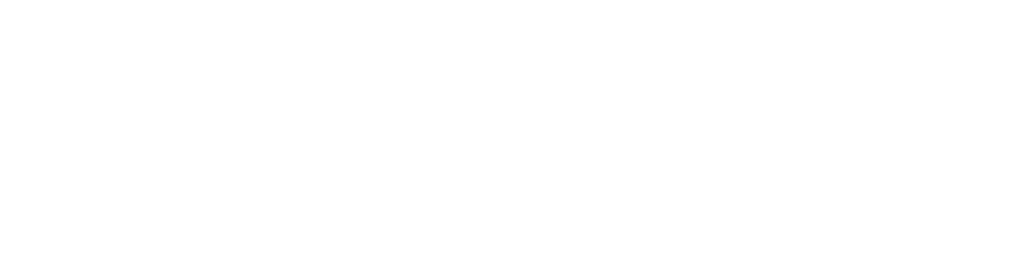 netorium AG – Kompetenzcenter und Technologiescout für die Medienindustrie