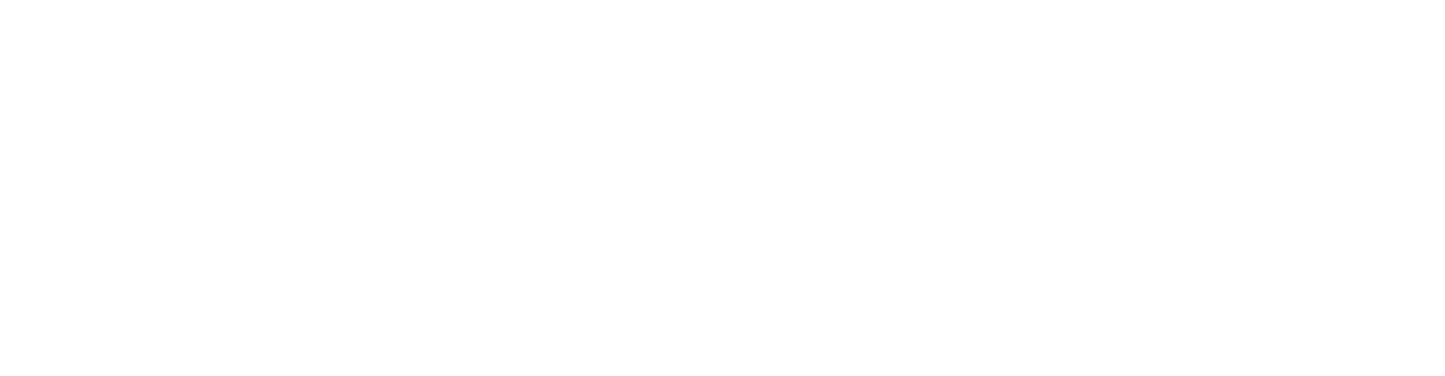 netorium AG – Kompetenzcenter und Technologiescout für die Medienindustrie