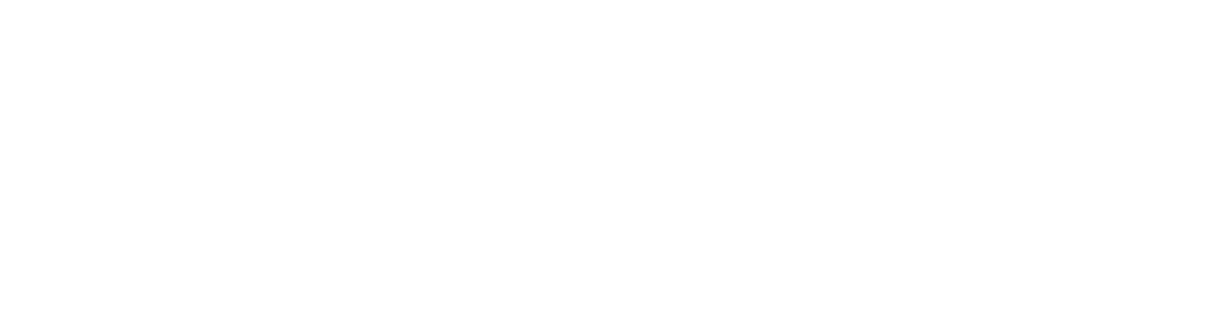 netorium AG – Kompetenzcenter und Technologiescout für die Medienindustrie