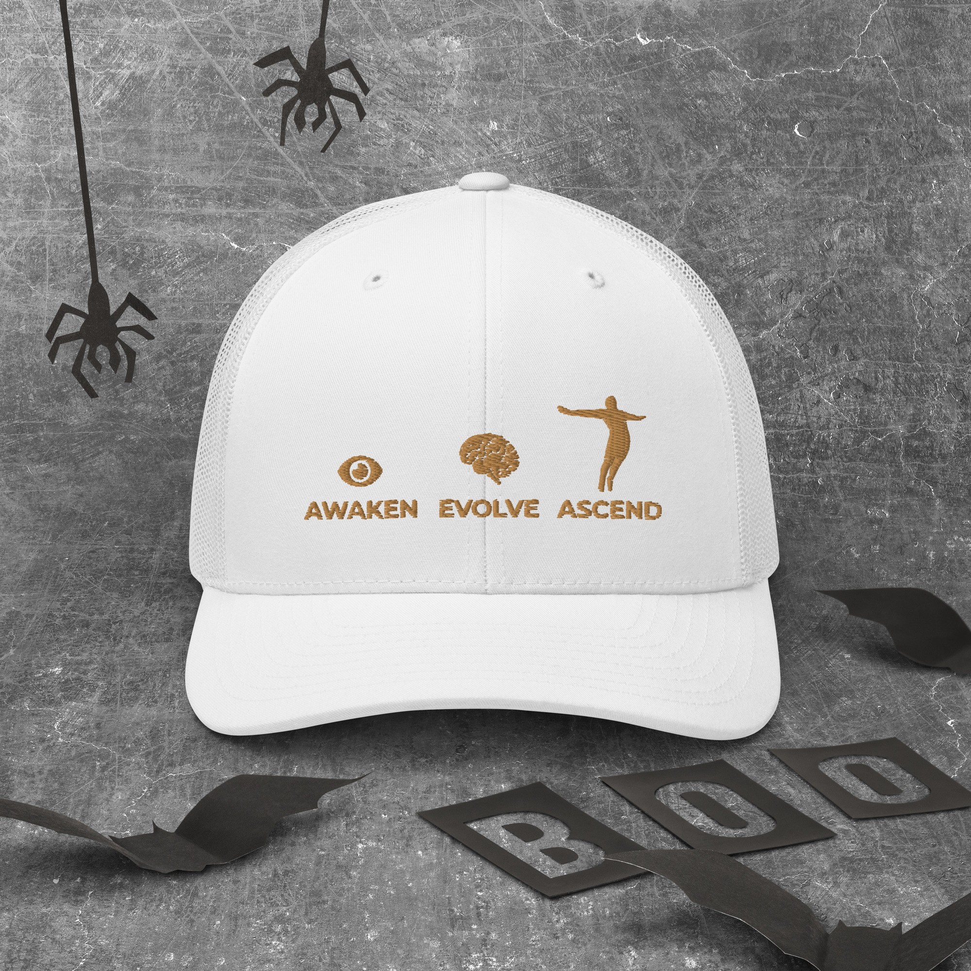 Forbidden Truth Academy