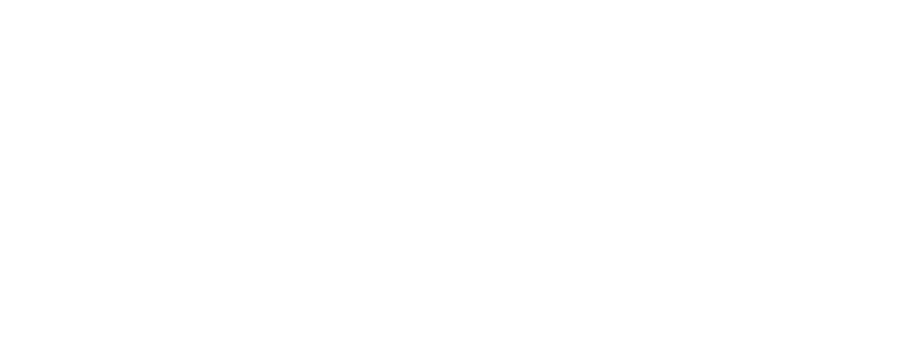 Inception