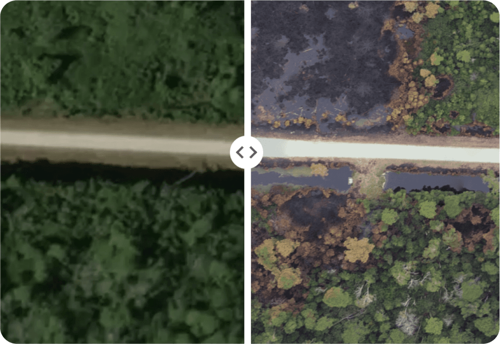 Orthomosaics Explained - Nova Software