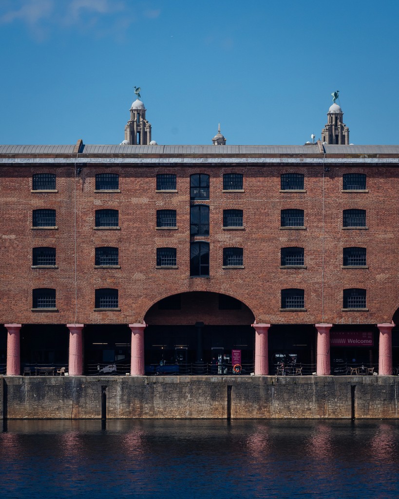 Studio Mutt Architects