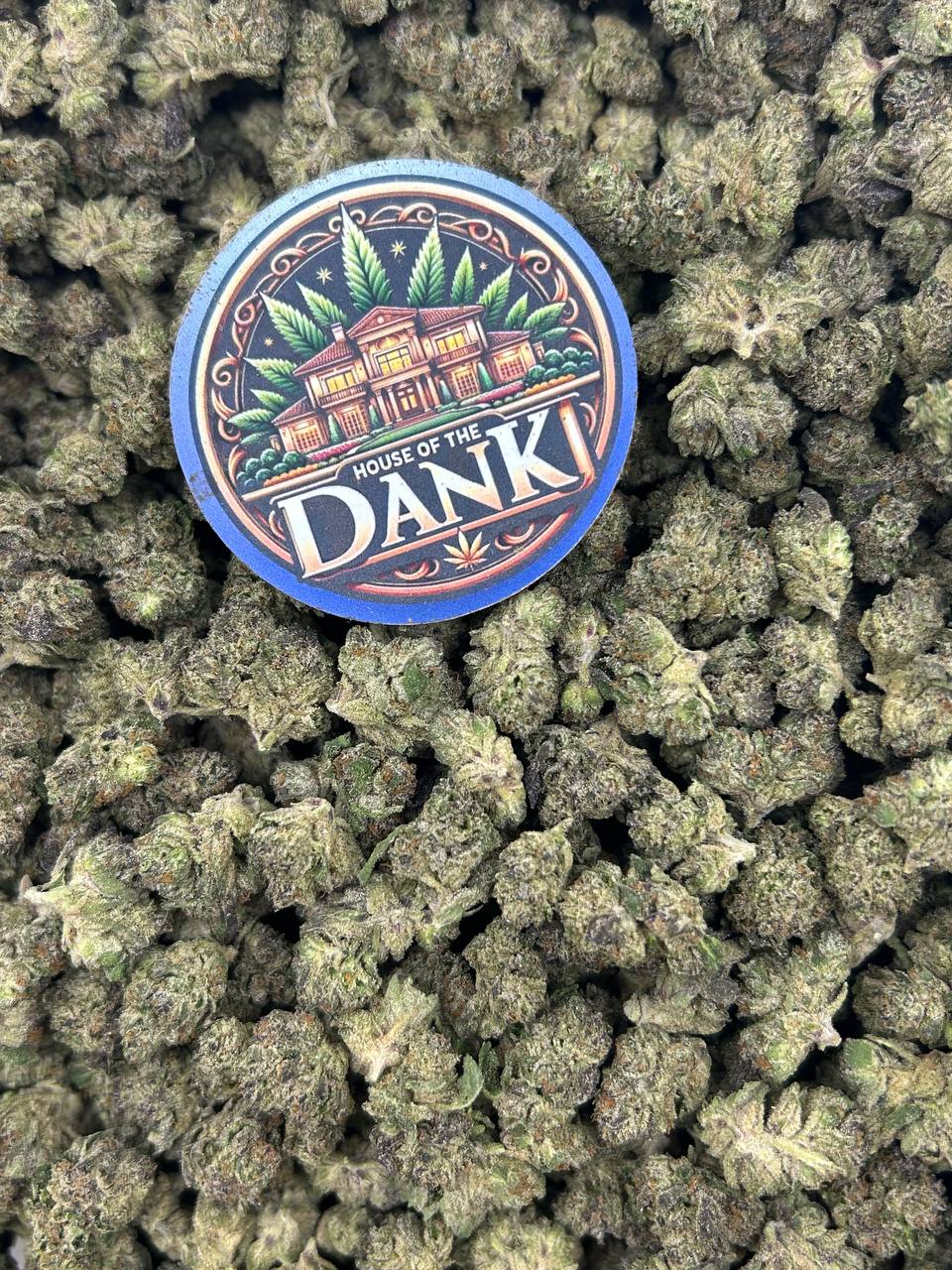 House of Dank