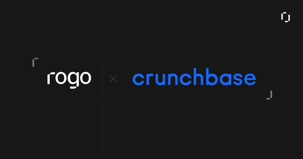 Rogo | Secure AI for Finance Professionals