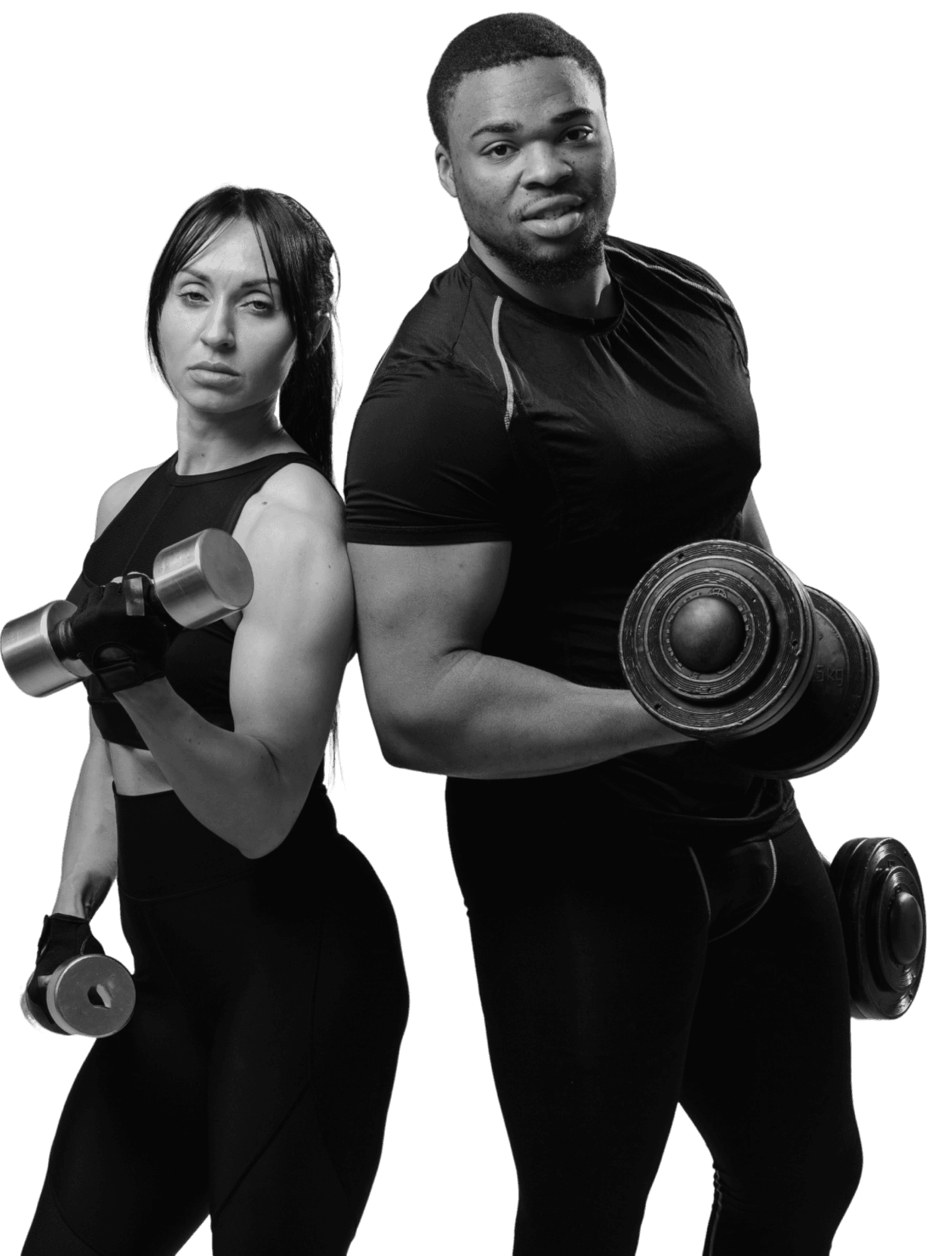 Alpha Gym