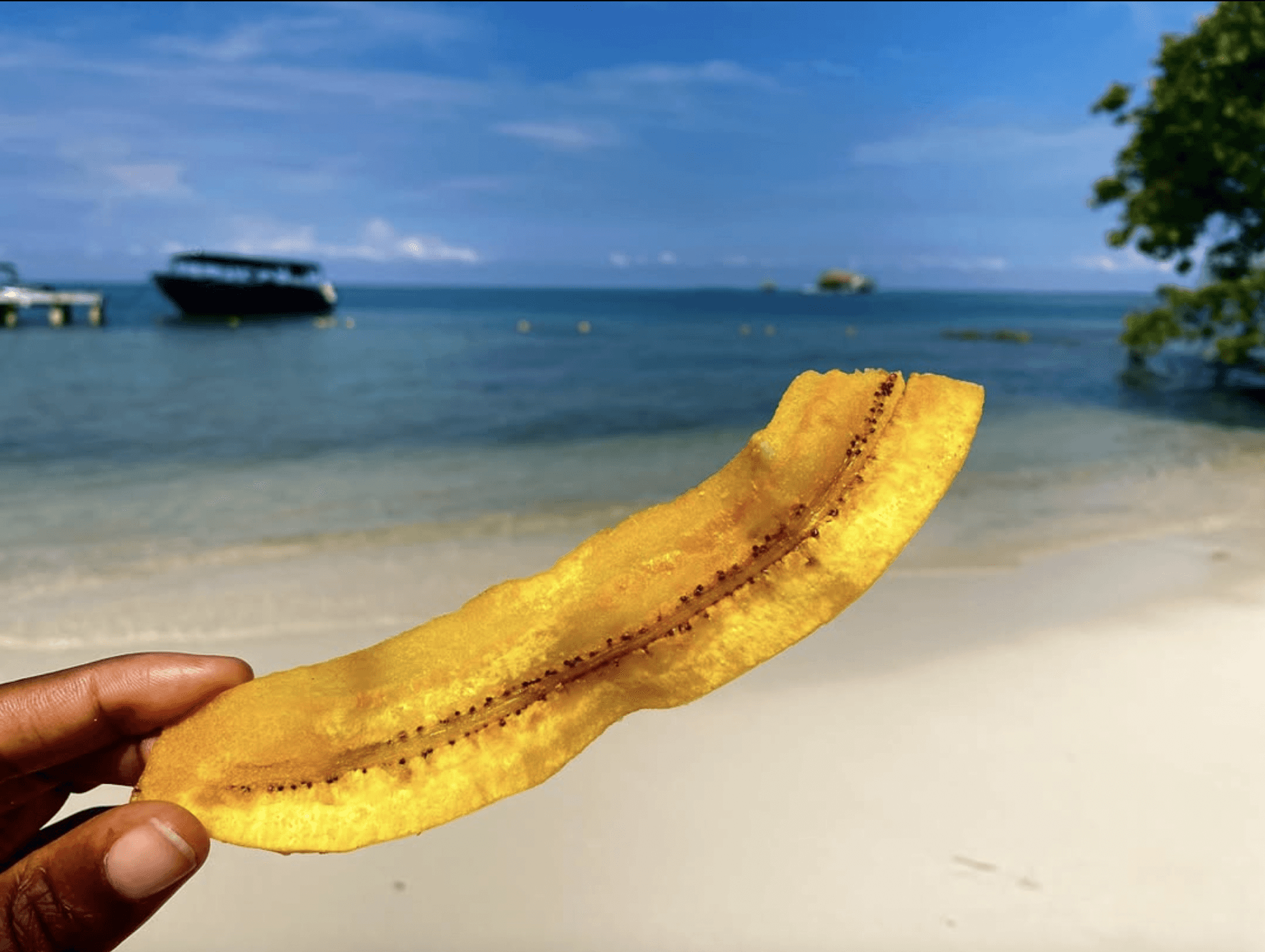 Rachel Laryea's Work