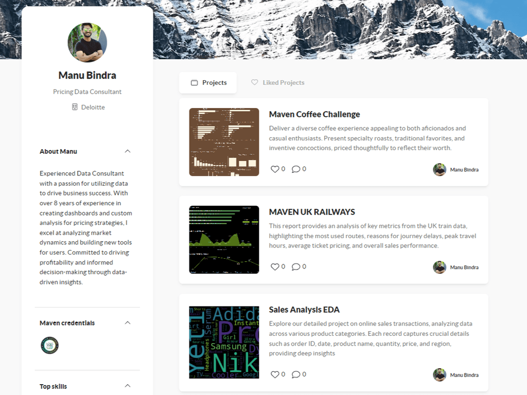 Analysts You Can Hire: Summer 2024 | Maven Analytics