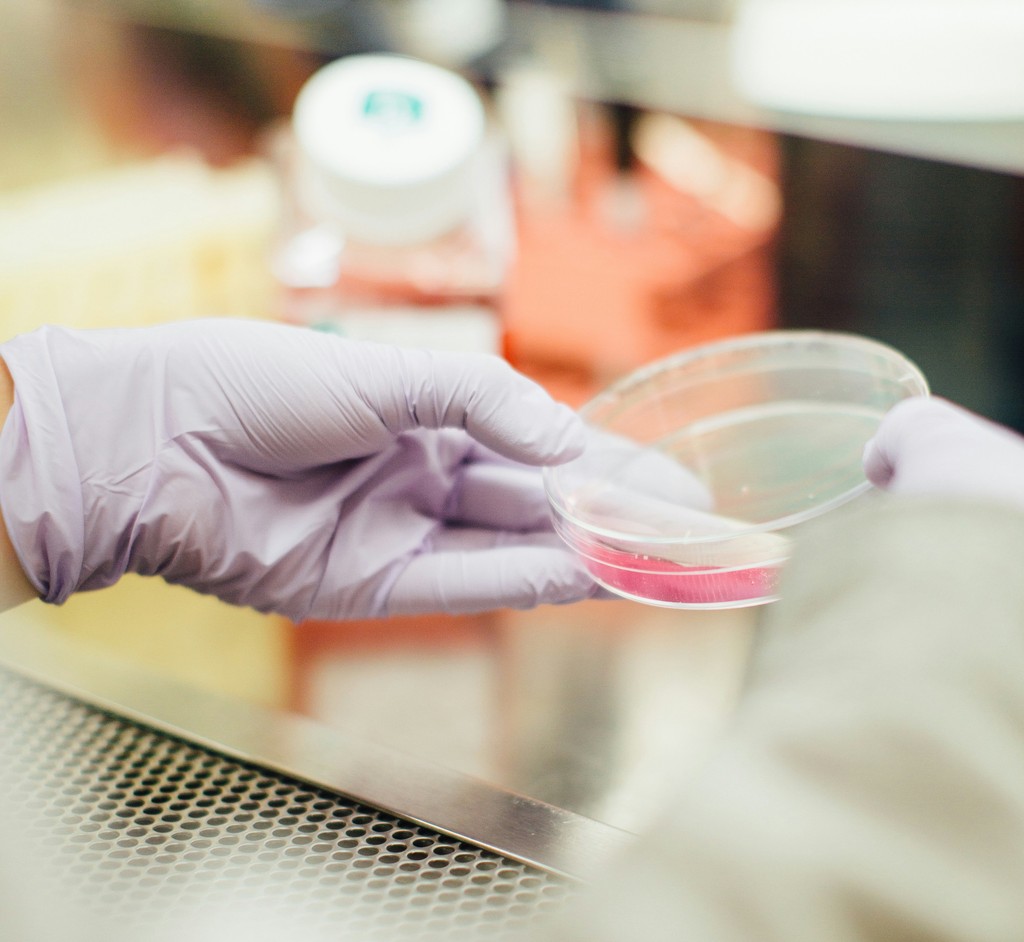 Gena AI Powered Genomic Analysis