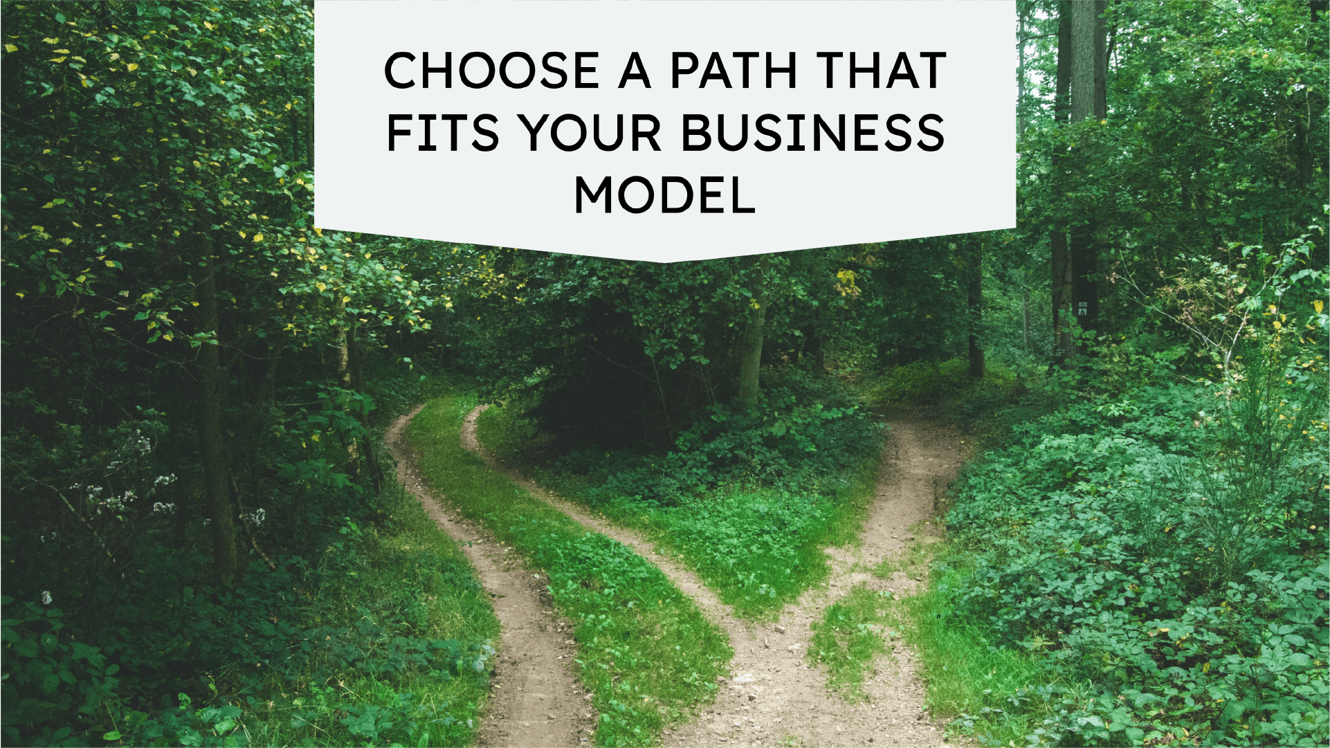 Choose a Path that Fits Your Business Model - My Framer Site