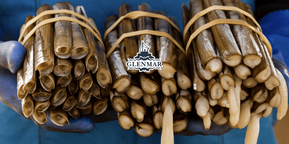 Glenmar Shellfish Ltd.