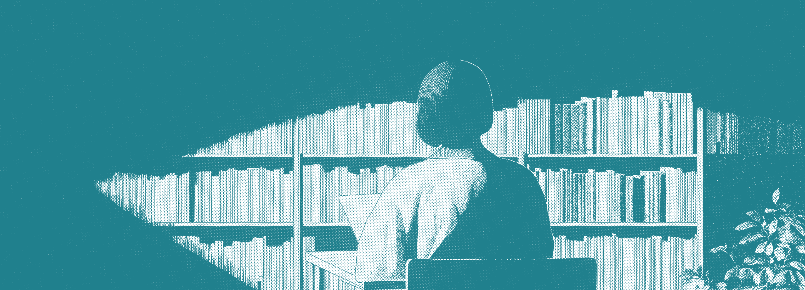 Perplexity 2024 Recap