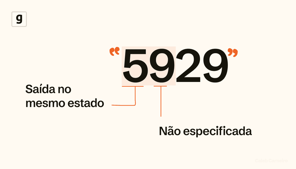 CFOP 5929: O que significa e como dar entrada