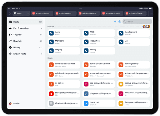 Download Termius for IOS