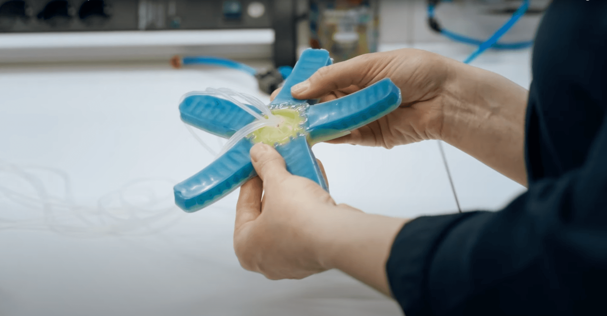 Holland Hybrid Heart