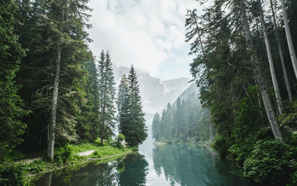 30 Universal Symbols, Their Meanings and How to Use Them in Design