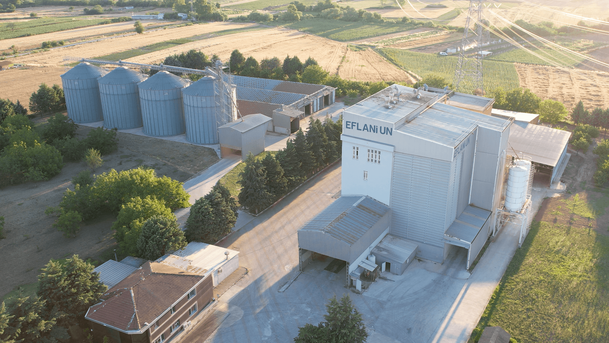 Turkey's Premium Wheat Flour Producer | Eflani Flour Mills