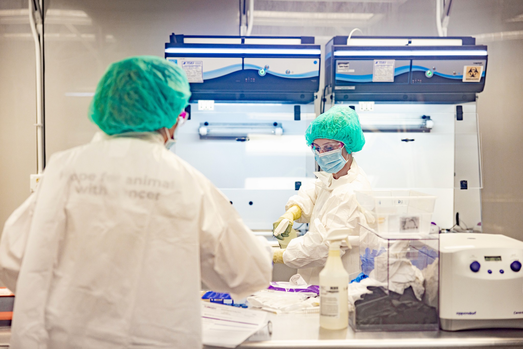 Torigen Pharmaceuticals | Veterinary Cancer Treatment