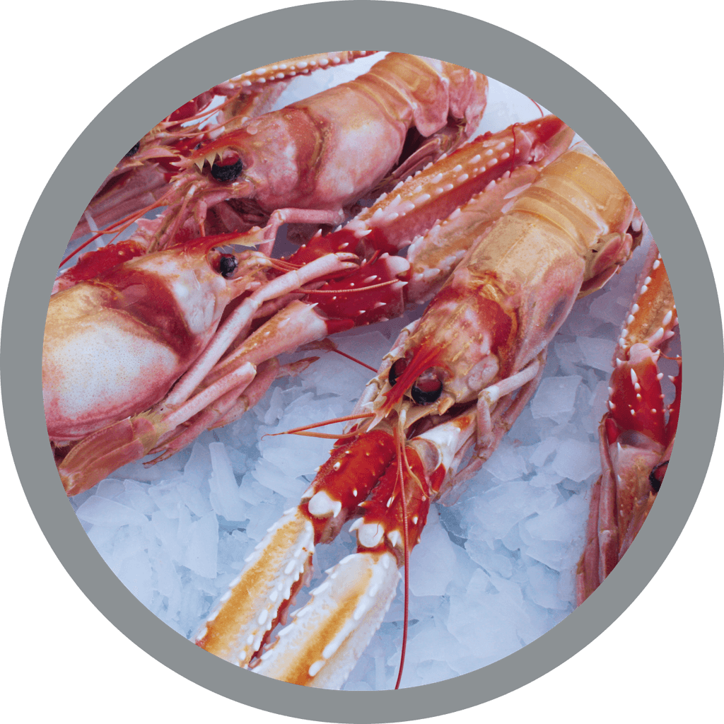 Glenmar Shellfish Ltd.