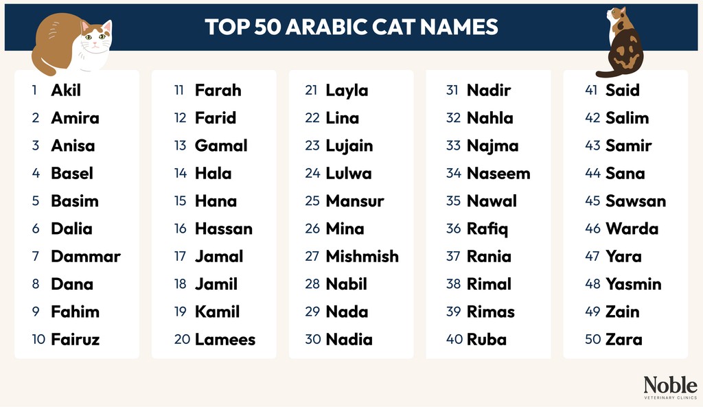 300 Best Cat Names: Choose the Perfect One for Your Pet!