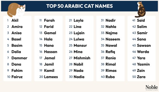 300 Best Cat Names: Choose the Perfect One for Your Pet!