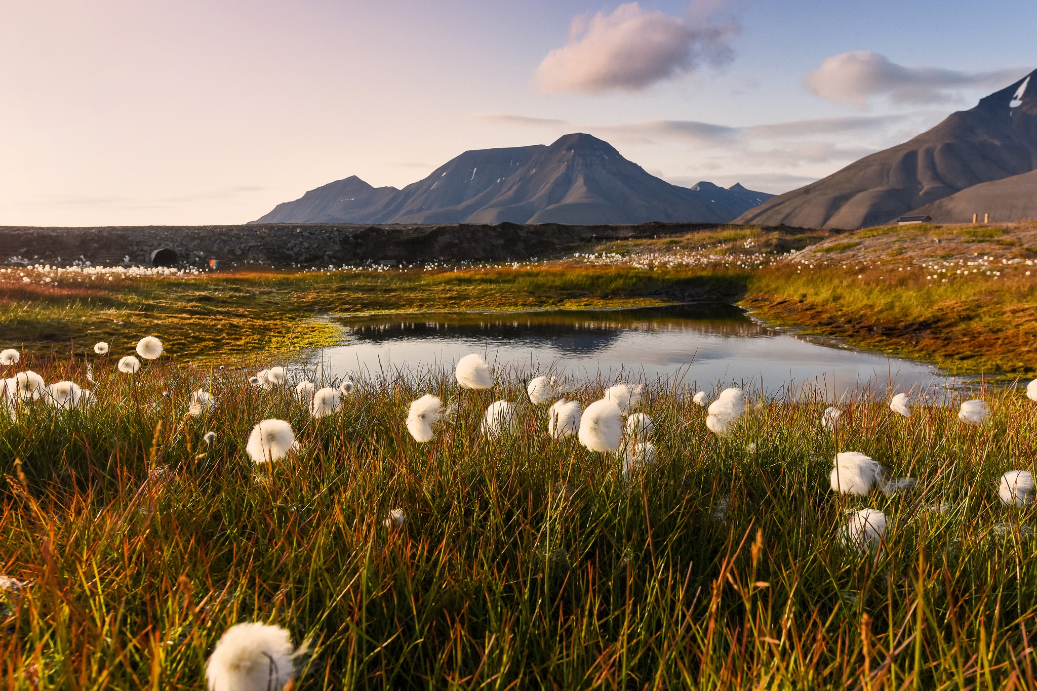 SBTi emphasizes near-term carbon removal in revised corporate standard ...