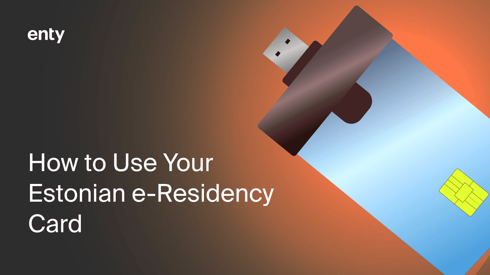 Estonian E-Residency Card: A Comprehensive Guide to Usage and ...