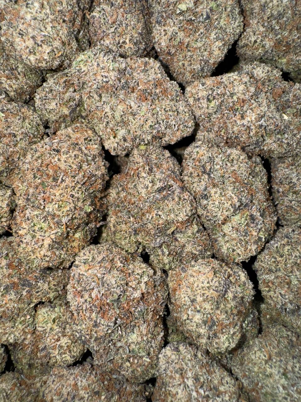 Fire - Cali Exotics