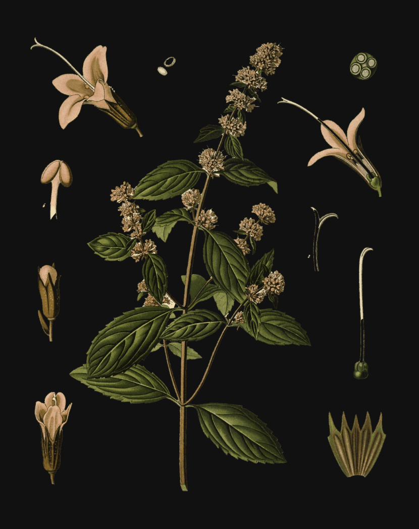 Data Platforms for Engineering Biologics