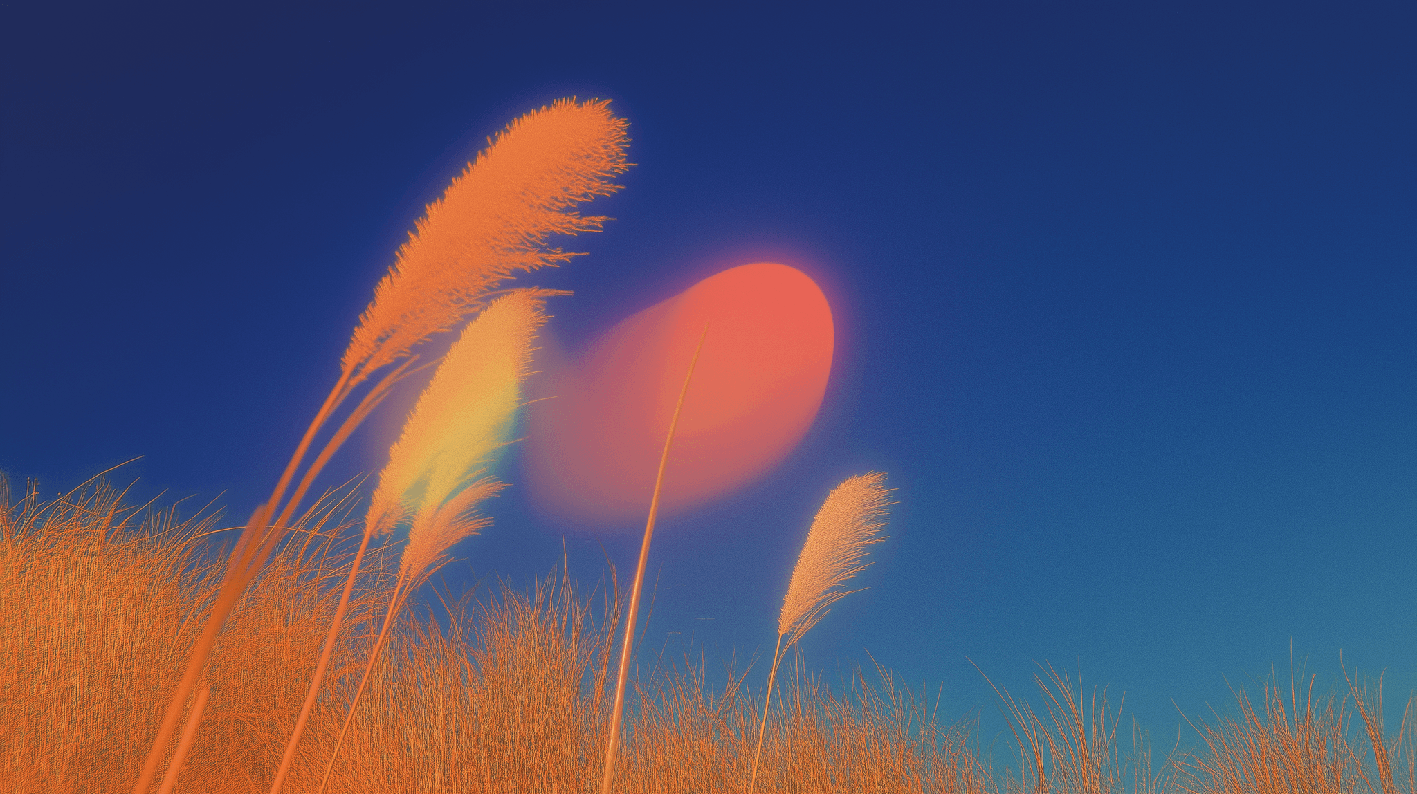 Perplexity Research Residency