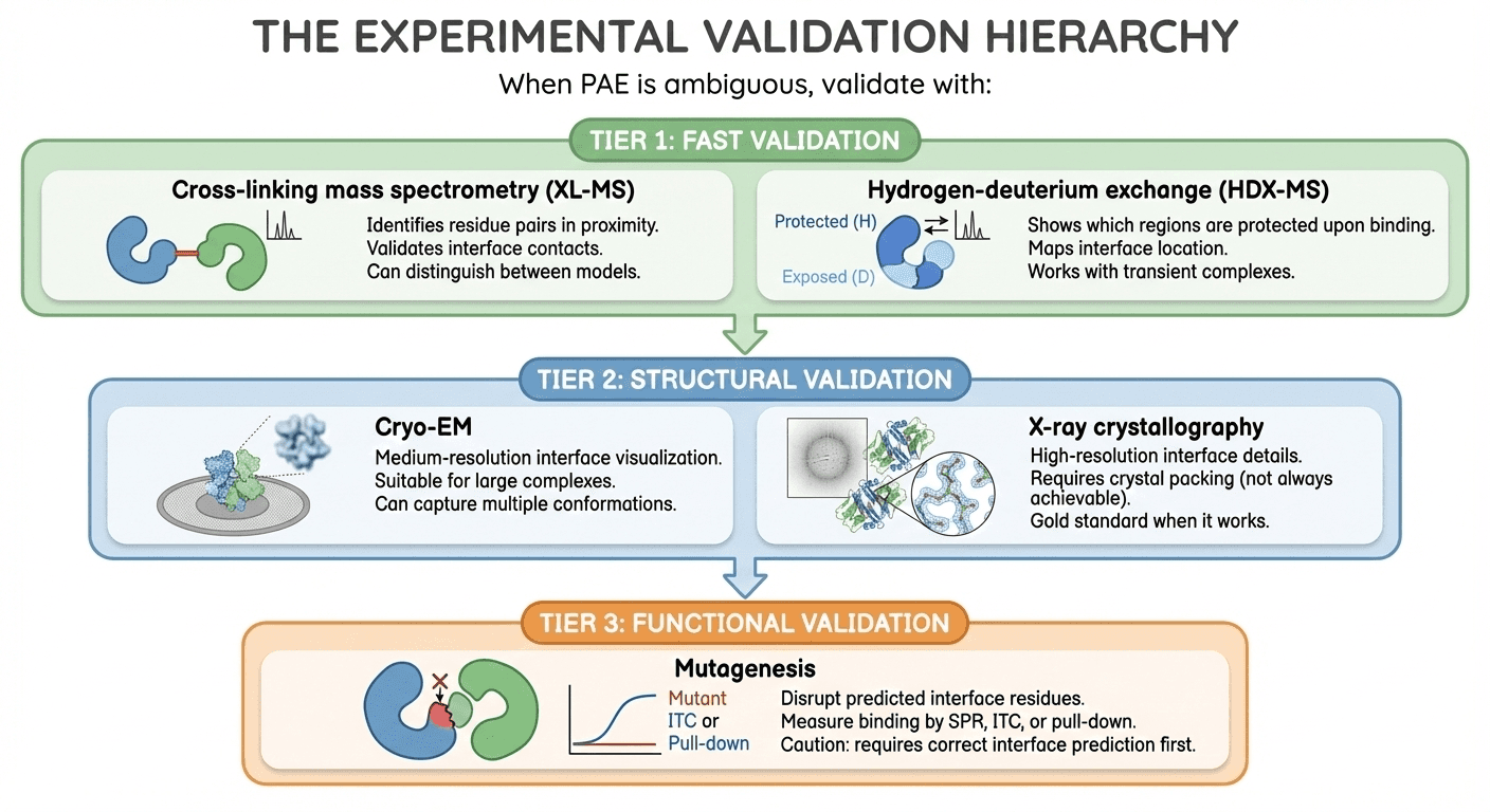 How to Interpret AlphaFold Confidence Scores for Multi-Chain Complexes ...