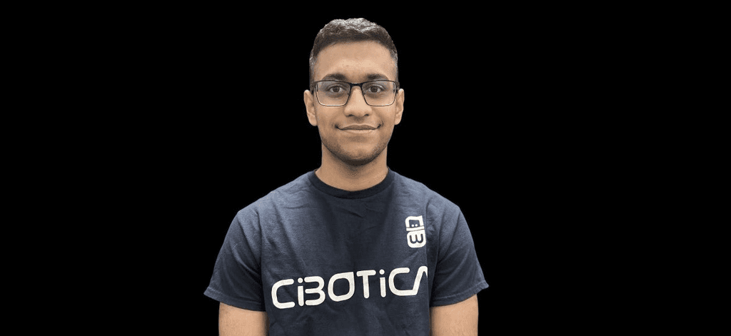 Company | Cibotica