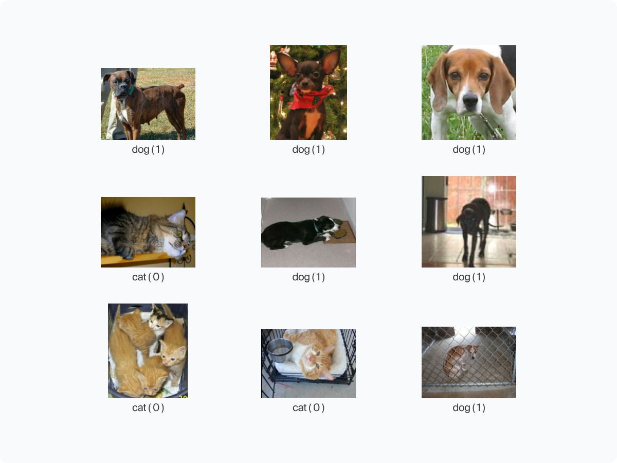 Understanding the Difference Between Labeled and Unlabeled Data