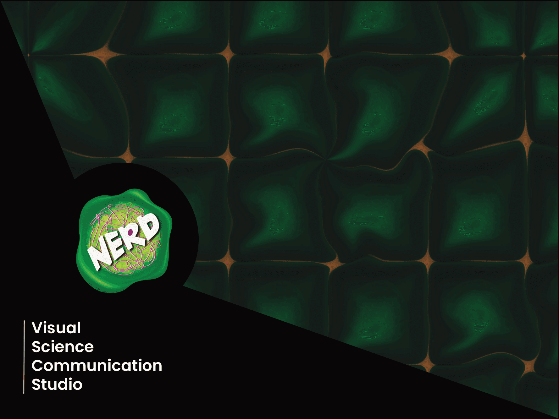 NERD | Visual Science Communication Studio
