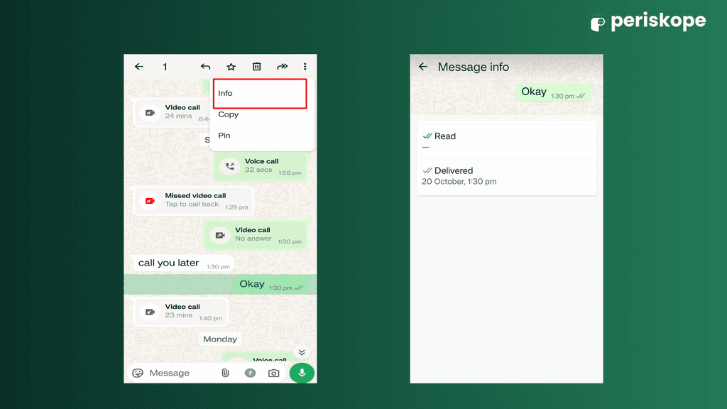 Complete Guide to WhatsApp Read Receipts and Message Tracking