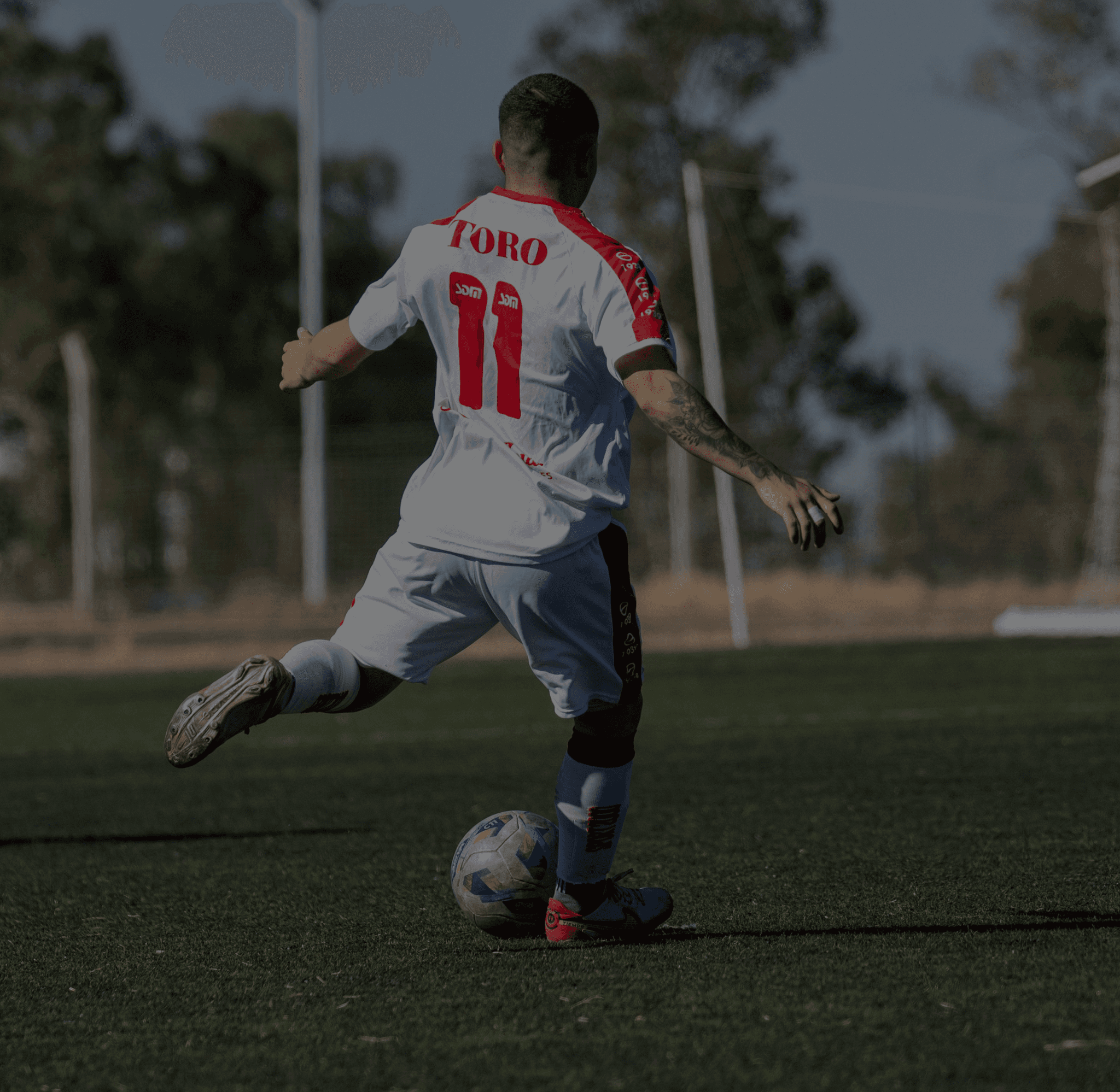 TeamPulse - Sports management application & custom uniforms for clubs ...