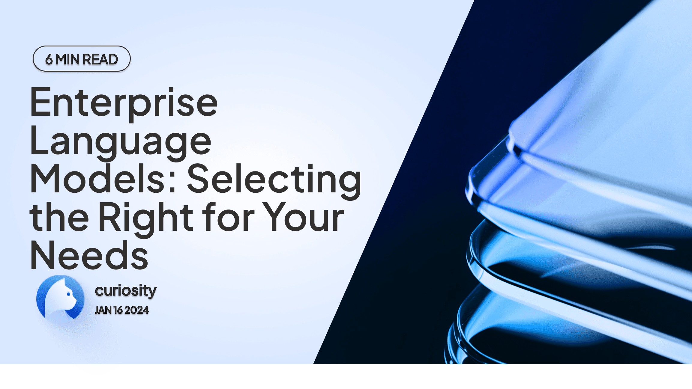 Enterprise Language Models: Selecting the Right Approach for Your Business Needs - Curiosity ...