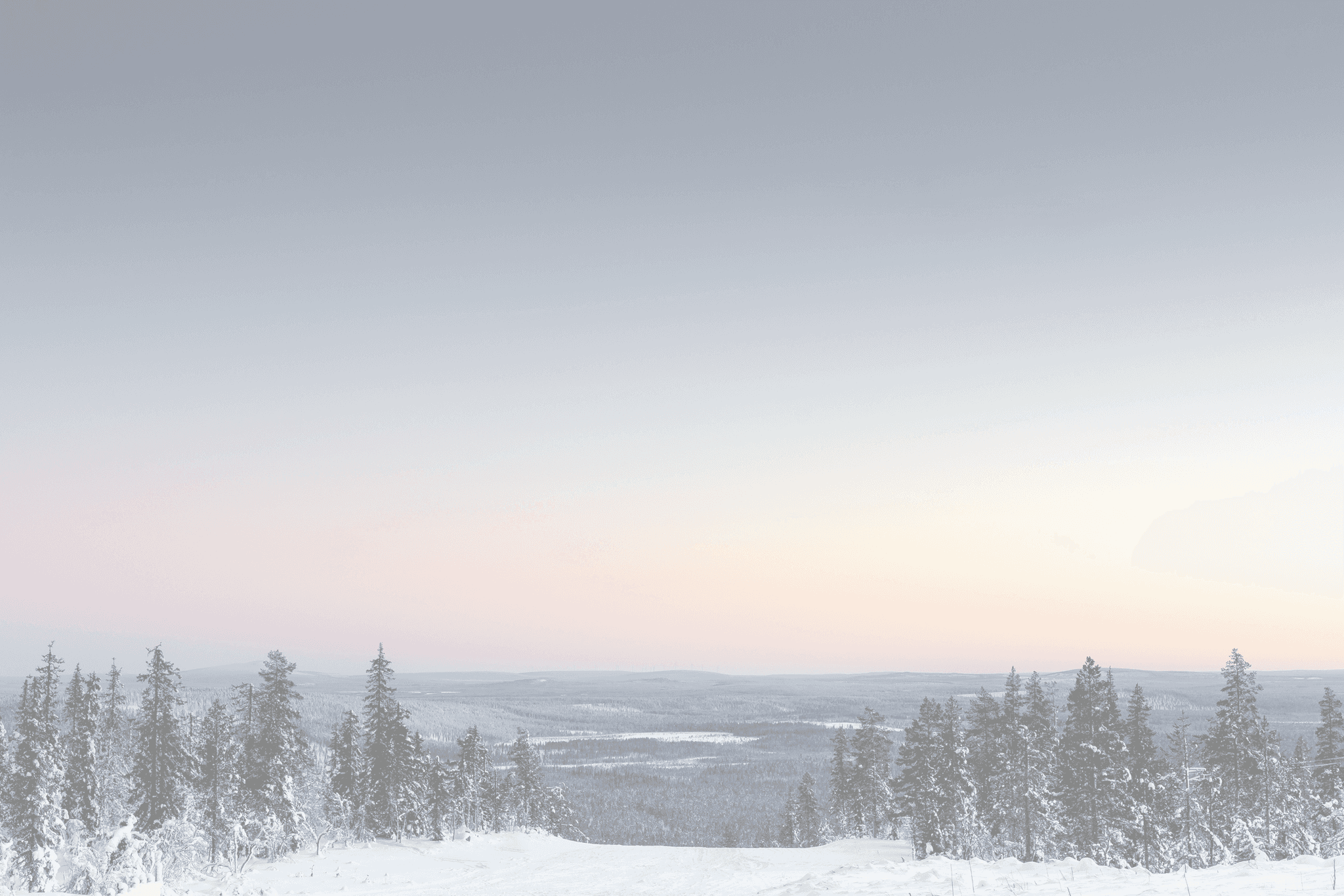 Zevoy Expenses | Smart & Automated Expense Management