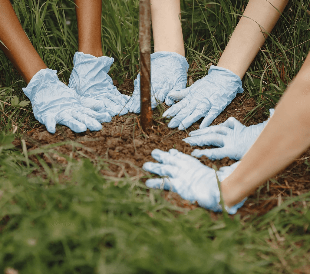Second Bind - Plant Trees